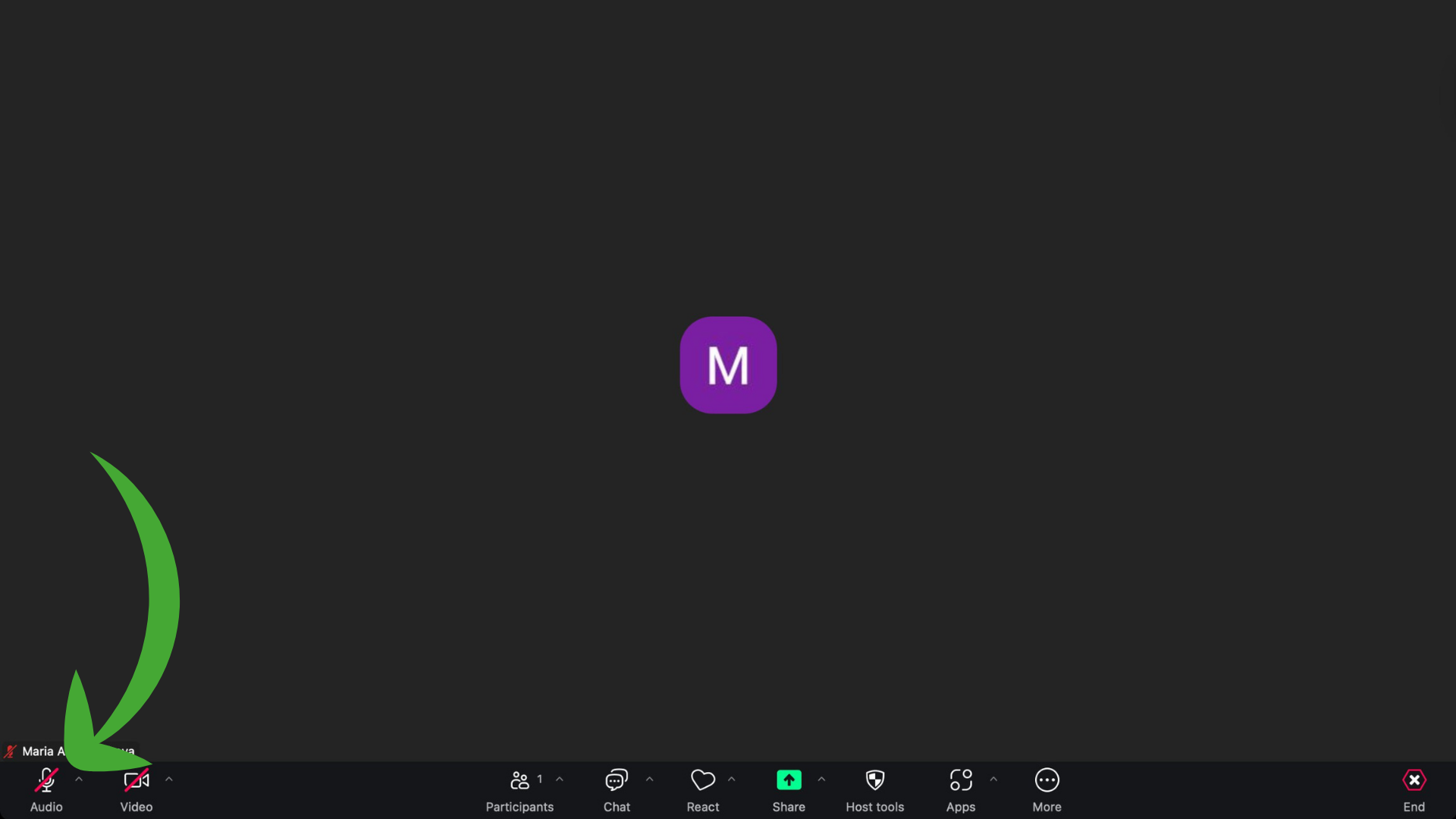 How to Mute a Zoom Meeting: Easy Steps for Every Device - Sembly AI